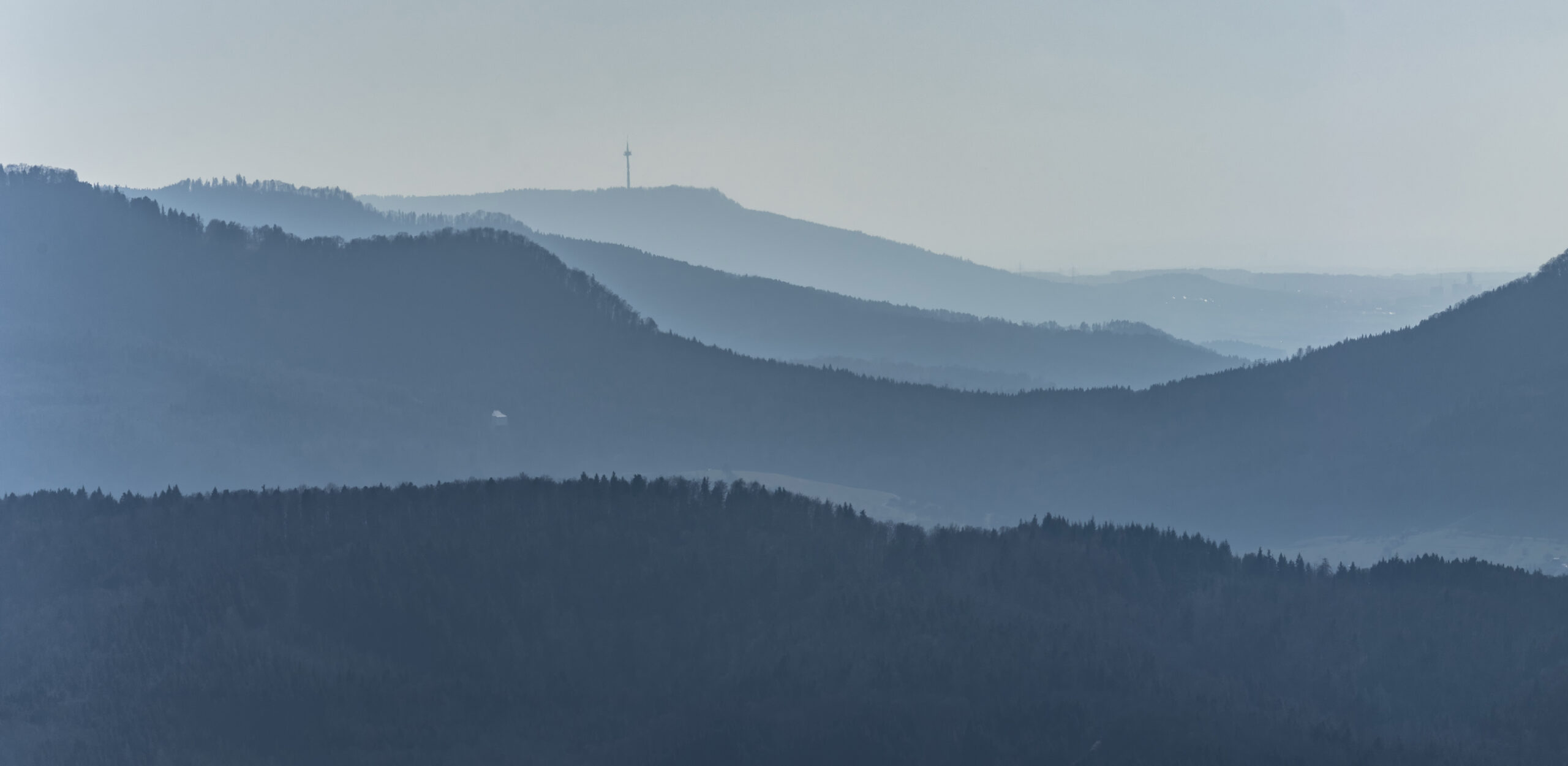 Twelve Capital’s commitment for a sustainable future - Twelve Capital AG